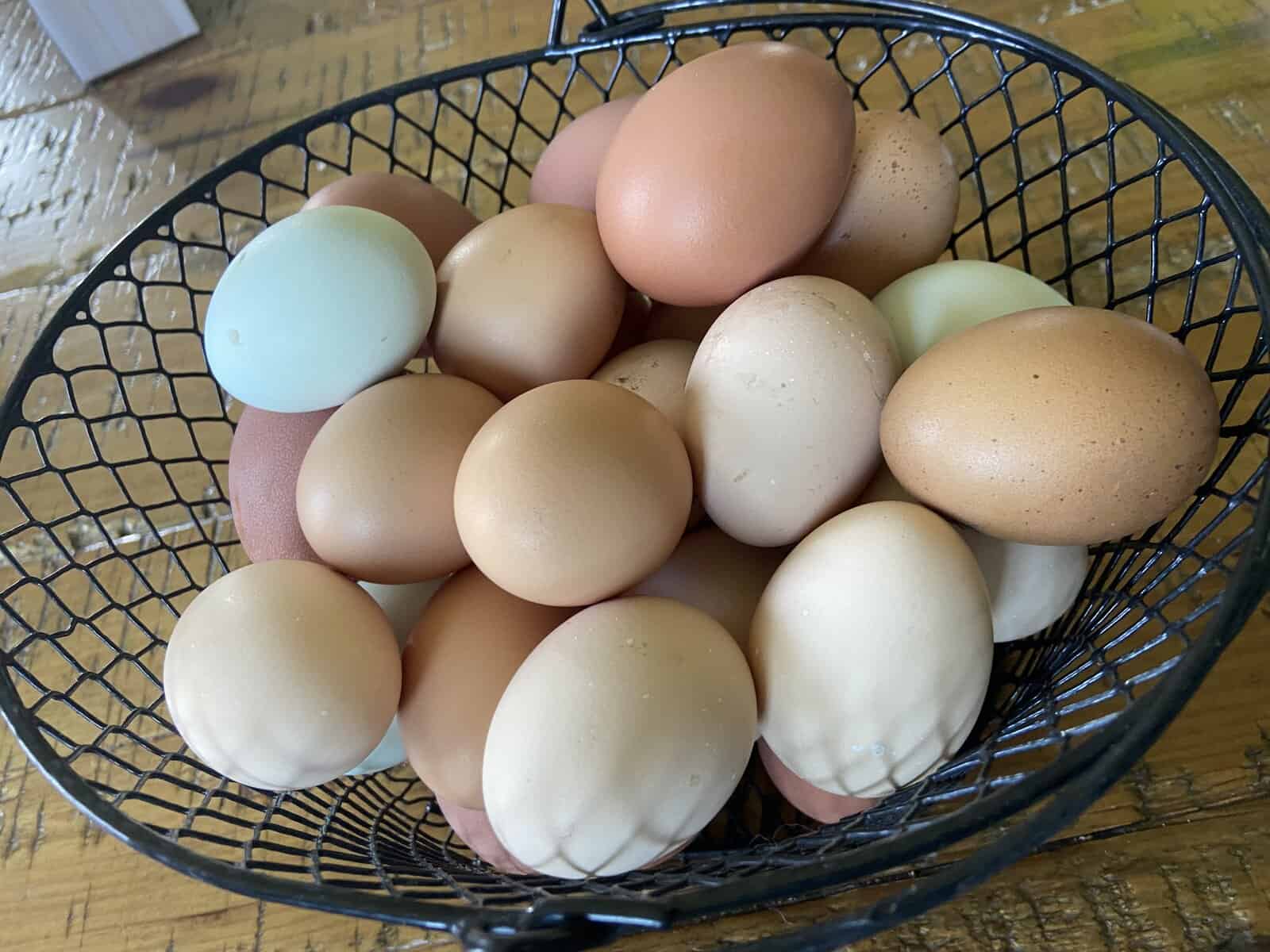 #66 Farm-Fresh Eggs - Red Quill Editorial LLC